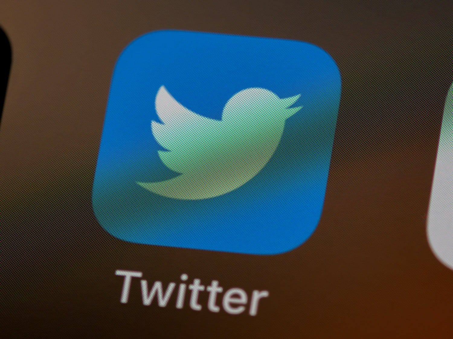 ¿Cómo Sería un Mundo Sin Twitter? - Sectorial